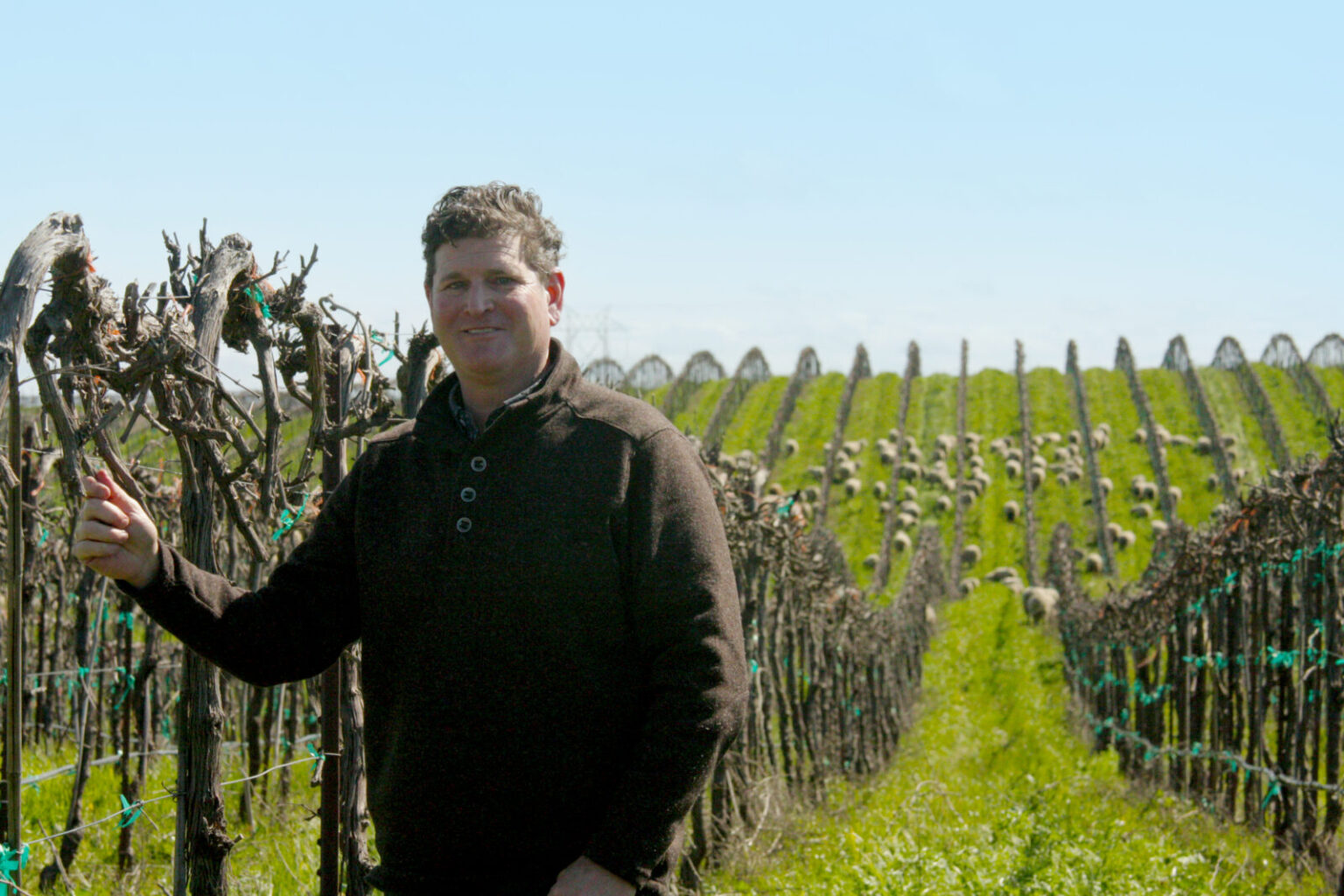 Our Story - Matchbook Wines